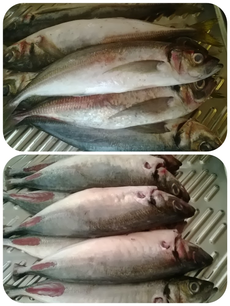 Carapau assado ~ As receitas do Selminho